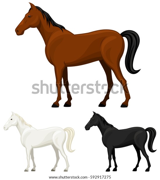 Vector Illustration Side View Horse Three Stock Vector (Royalty Free ...