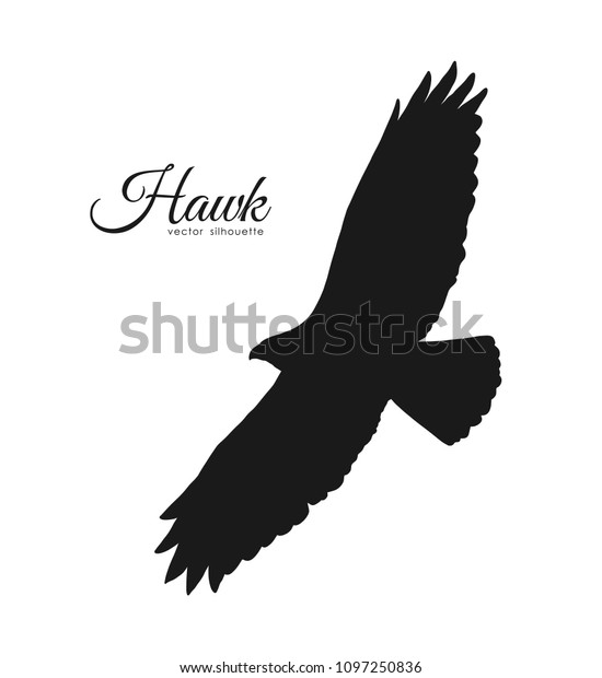 Vector Illustration Silhouette Flying Hawk Isolated Stock Vector (Royalty Free) 1097250836