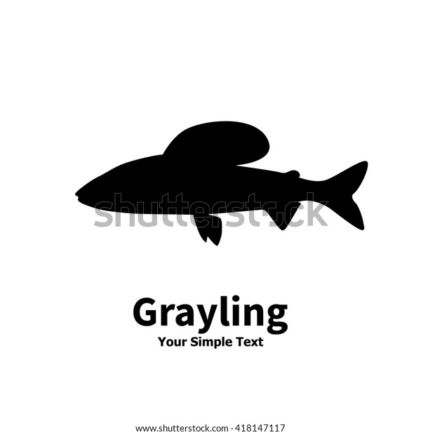 Vector Illustration Silhouette Grayling Fish Isolated Stock Vector ...