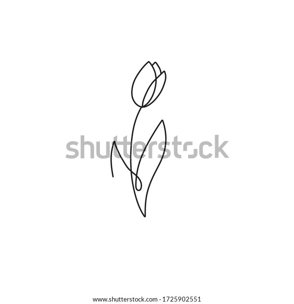 Vector Illustration Single Line Drawing Tulip Stock Vector (Royalty ...