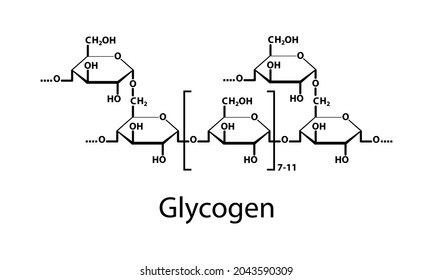 Vector Illustration Skeleton Formula Glycogen On Stock Vector (Royalty ...