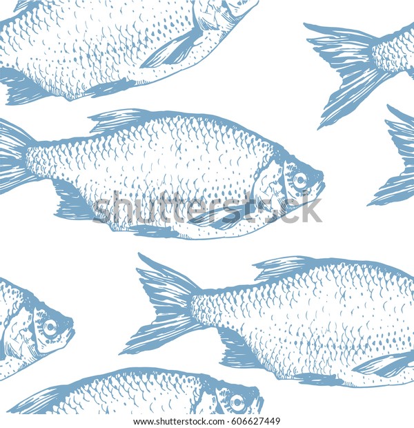Vector Illustration Sketches Rudd Fish Handdrawn Stock Vector (Royalty ...