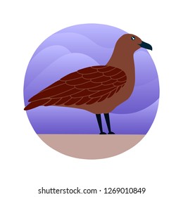 Skua Stock Vectors, Images & Vector Art | Shutterstock