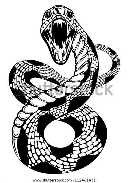 Vektor Stok Vector Illustration Snake Open Mouth On (Tanpa Royalti ...