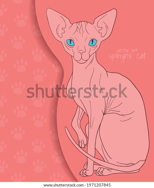 Vector Illustration Sphynx Cat Cartoon Style Stock Vector (Royalty Free ...