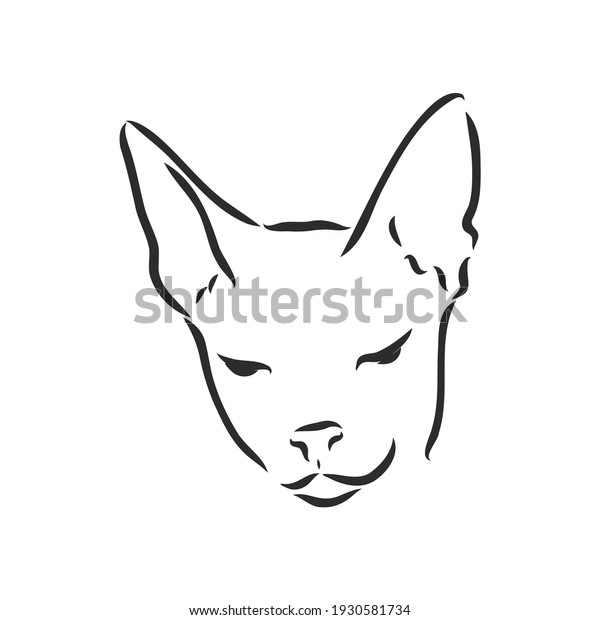 Vector Illustration Sphynx Cat Liner Isolated Stock Vector (Royalty ...