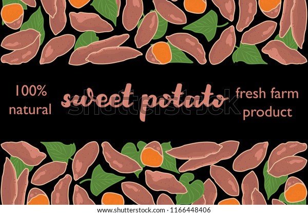 Vector Illustration Sweet Potato Leaf Design Stock Vector (Royalty Free ...