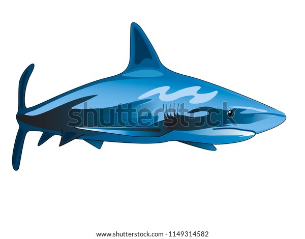 Vector Illustration Swimming Blue Shark Isolated Stock Vector (Royalty ...