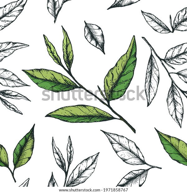 Vector Illustration Tea Leaves Seamless Pattern Stock Vector (Royalty ...