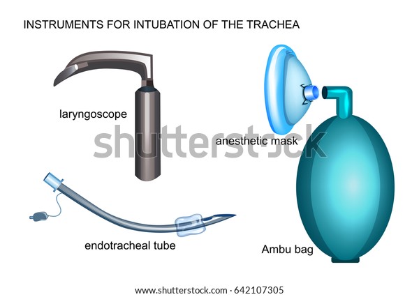 Vector Illustration Tools Endotracheal Intubation Stock Vector (Royalty ...