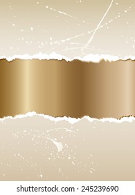 Vector Illustration Tore Kraft Paper Stock Vector (Royalty Free ...