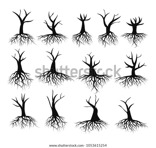 Vector Illustration Tree Roots White Background Stock Vector (Royalty ...