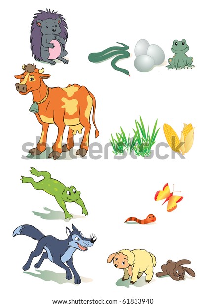 Vector Illustration Trophic Chain Education Concept Stock Vector ...