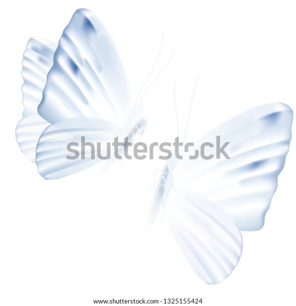 Vector Illustration Two Light Blue Butterflies Stock Vector (Royalty ...