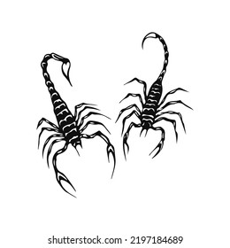 Vector Illustration Two Scorpions Concept Stock Vector (Royalty Free ...