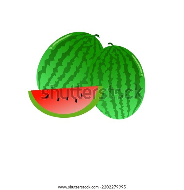 Vector Illustration Two Watermelons Stock Vector (Royalty Free ...