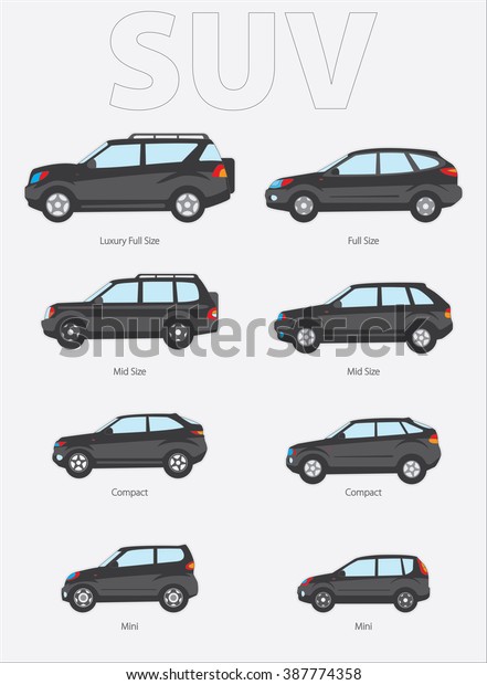 Vector Illustration Types Cars Variants Car Stock Vector (Royalty Free ...
