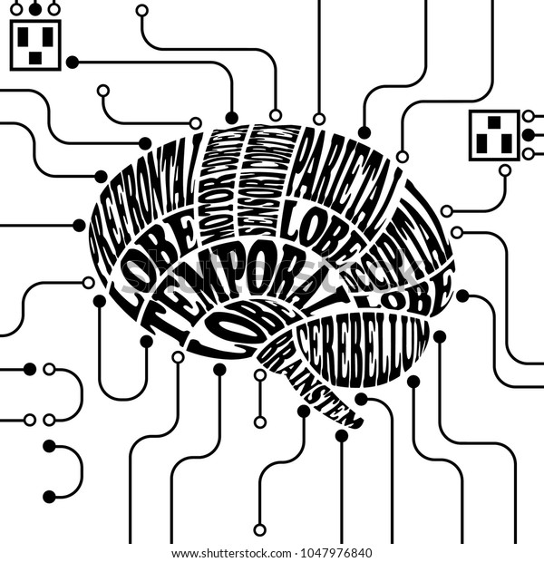 Vector Illustration Typography Parts Brain Micro Stock Vector (Royalty ...