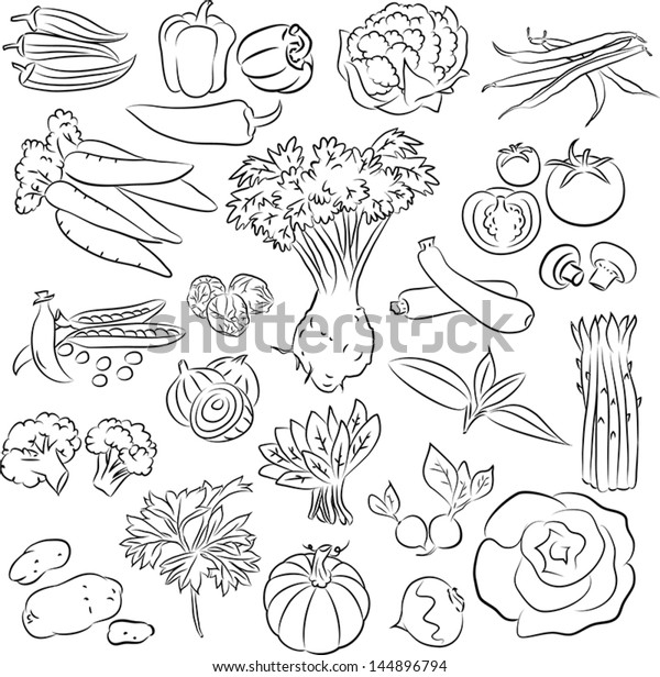 Vector Illustration Vegetables Line Art Stock Vector (Royalty Free ...