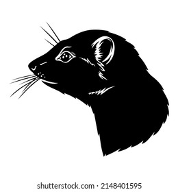 Vector Illustration Weasel Head Icon Stock Vector (Royalty Free ...