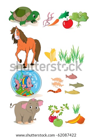 Vector Illustration What Animals Eat Education เวกเตอร์สต็อก (ปลอดค่า ...