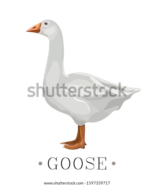 Vector Illustration White Goose Stylized Goose Stock Vector (Royalty ...