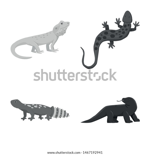 Vector Illustration Wild Exotic Symbol Collection Stock Vector (Royalty ...