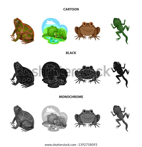 Vector Illustration Wildlife Bog Logo Set Stock Vector (Royalty Free ...