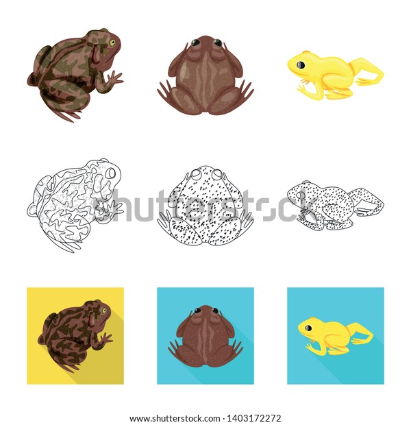 Vector Illustration Wildlife Bog Logo Collection Stock Vector (Royalty ...