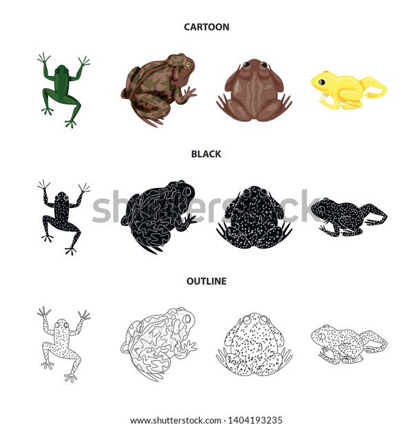 Vector Illustration Wildlife Bog Logo Set: vector de stock (libre de ...