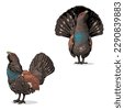28+ Thousand Grouse Royalty-Free Images, Stock Photos & Pictures ...