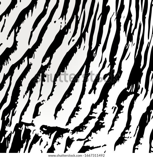 Vector Illustration Zebra Print Background Pattern Stock Vector ...
