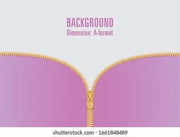 Vector Illustration Zipper Gold On Pink Stock Vector (Royalty Free ...