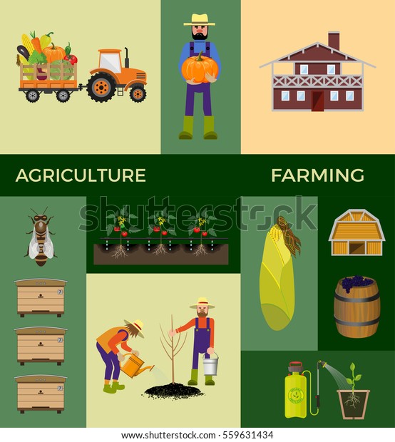 Vector Illustrations Agricultural Farming Stock Vector (Royalty Free ...