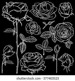 Vector Illustrations Contour Beautiful Roses Flower Stock Vector ...