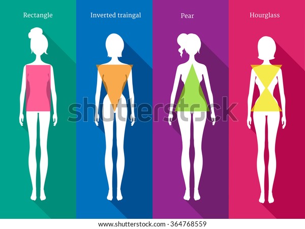 Vector Illustrations Female Body Types White 库存矢量图（免版税）364768559 ...