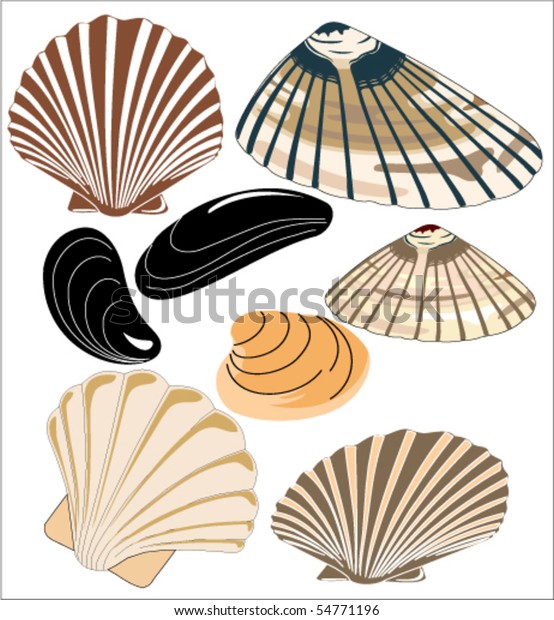 Vector Illustrations Mussels Clams Stock Vector Royalty Free 54771196