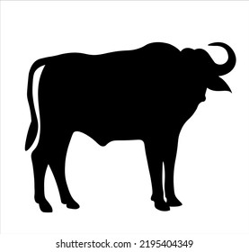 Vector Image African Buffalo On White Stock Vector (Royalty Free ...