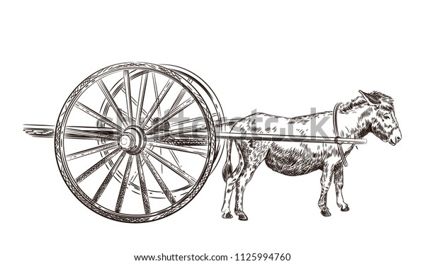 Vector Image Donkey Bullockcart Stock Vector (Royalty Free) 1125994760 ...