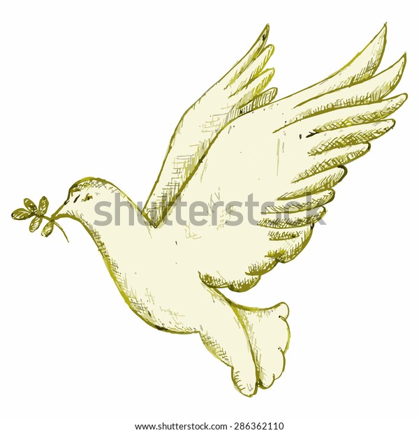 Vector Image Dove Branch Religious Symbol: vector de stock (libre de ...
