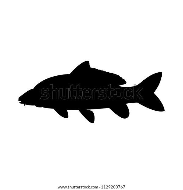 Vector Image Fish Carp Silhouette Stock Vector (Royalty Free ...