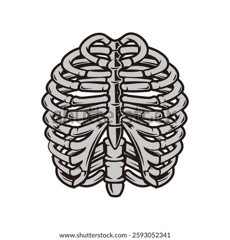 Human Chest Drawing | Free download on ClipArtMag