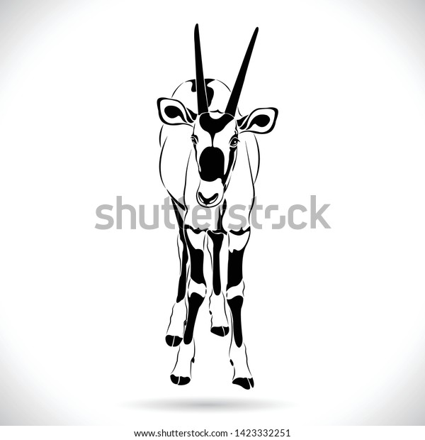 Vector Image Oryx Gazelle Gemsbok Antelope Stock Vector (Royalty Free ...