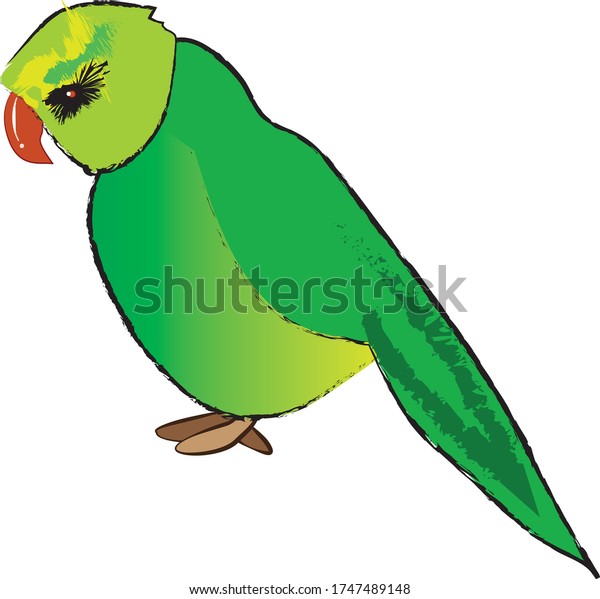 Vector Image Sad Green Parrot On Stock Vector (Royalty Free) 1747489148 ...