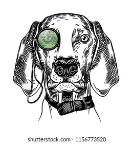 284 Dog monocle Images, Stock Photos & Vectors | Shutterstock