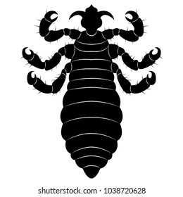 150 Body lice Stock Illustrations, Images & Vectors | Shutterstock