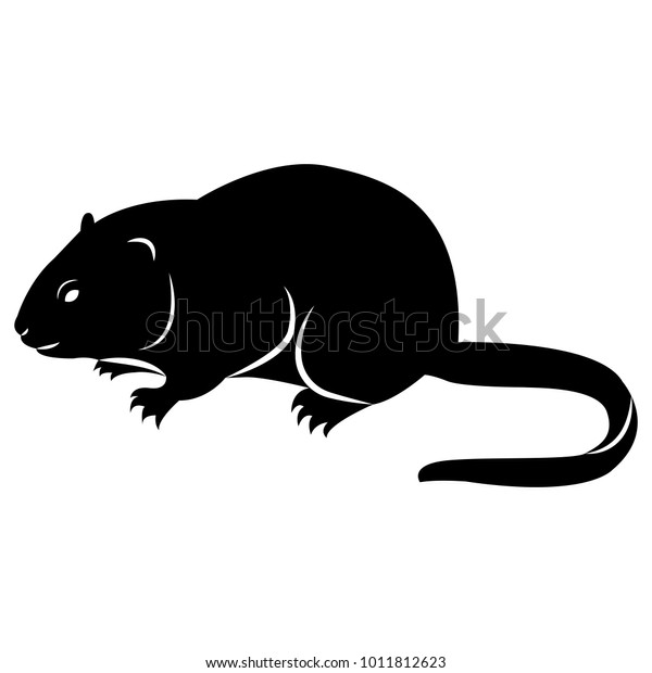 Vector Image Silhouette Muskrat On White Stock Vector (Royalty Free ...