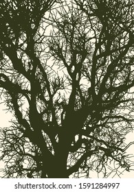 Vector Image Silhouette Tree Crooked Branches Stock Vector (Royalty ...