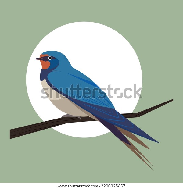 Vector Image Swallow Bird Stock Vector (Royalty Free) 2200925657 ...