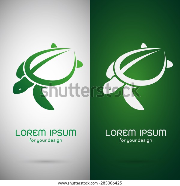 Vector Image Turtle Design On White Stock Vector (Royalty Free ...